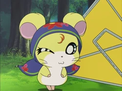 Hamtaro Okini
