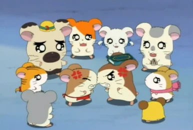 Hamtaro Peper Pepper/Gallery | The Hamtaro Wiki | Fandom