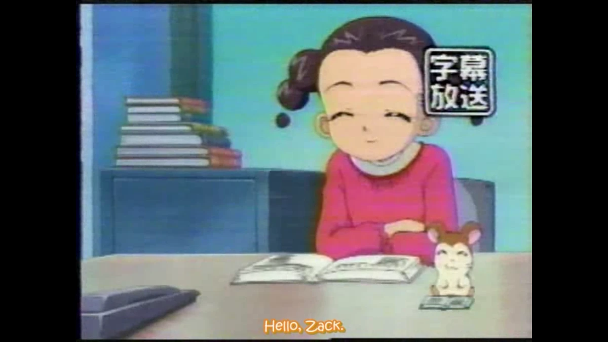 Yume/Gallery | The Hamtaro Wiki | Fandom