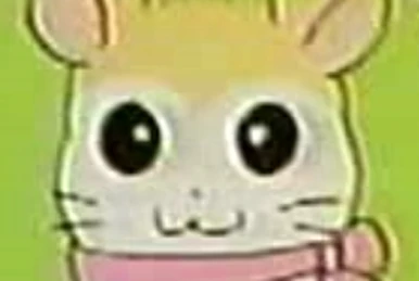 Hamtaro Stan Og Sand Come On, Stan! | The Hamtaro Wiki | Fandom