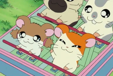 Hamtaro Peper Pepper/Gallery | The Hamtaro Wiki | Fandom