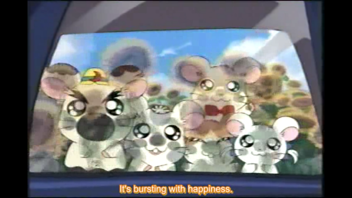 Summer Color Solaragallery The Hamtaro Wiki Fandom