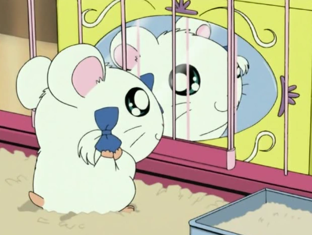 Bijou's Favorite Ribbon | The Hamtaro Wiki | Fandom
