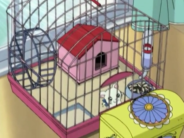 Bijou's Favorite Ribbon/Gallery | The Hamtaro Wiki | Fandom