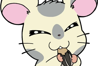 Hamtaro Arenoso E Stan Stan/Gallery | The Hamtaro Wiki | Fandom