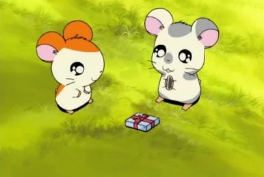 Chef Hamtaro Hamtaro (US) Season 2 Air Dates & Countdown