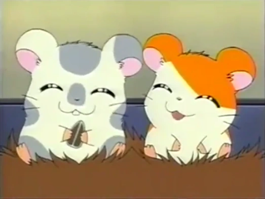 Oxnard's Big Crush/Gallery | The Hamtaro Wiki | Fandom