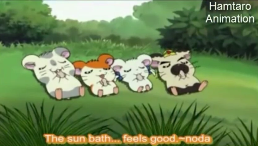 Boss's Showdown/Gallery | The Hamtaro Wiki | Fandom