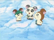 A Christmas Ride!/Gallery | The Hamtaro Wiki | Fandom