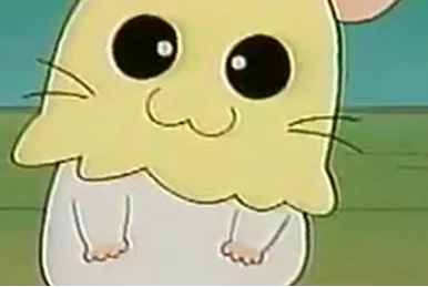 Personagens Hamtaro Cappy