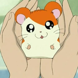 hamtaro beach