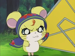 Hamtaro Okini