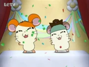 Happy Birthday | The Hamtaro Wiki | Fandom