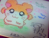 Sparkle | The Hamtaro Wiki | Fandom