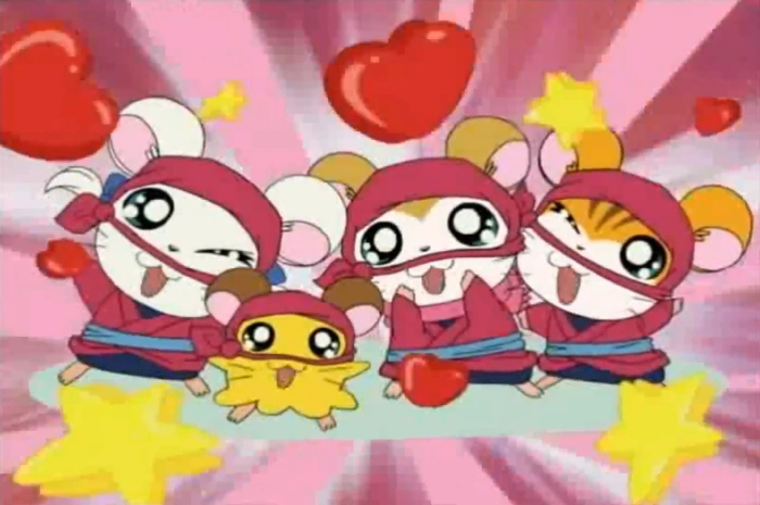 Young Girl Thieves of Justice! | The Hamtaro Wiki | Fandom