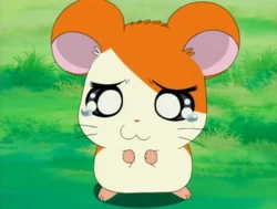 I'm Parting, Clubhouse! | The Hamtaro Wiki | Fandom