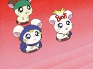 Happy Ham-Ham Wedding!/Gallery | The Hamtaro Wiki | Fandom