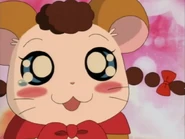 Pepper/Gallery | The Hamtaro Wiki | Fandom