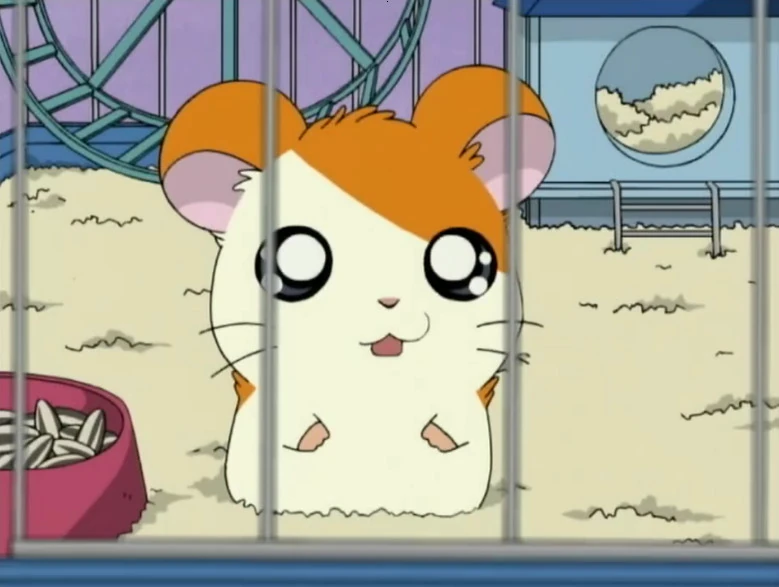 The Scary Museum!/Gallery | The Hamtaro Wiki | Fandom