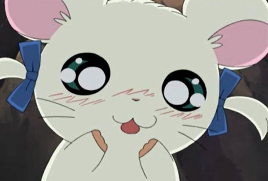 Hamtaro En Bijou Kussen Hamtaro And Bijou By XxLego ChanxX On