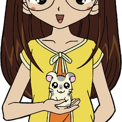 Hamtaro Human Characters
