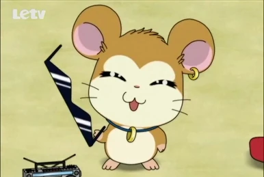 Hamtaro Sandy And Stan