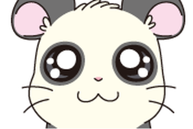 Hamtaro Characters Panda