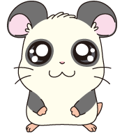 Panda/Gallery | The Hamtaro Wiki | Fandom