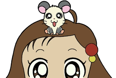 Personnages De Hamtaro Panda Hamtaro Hai! Seriebox
