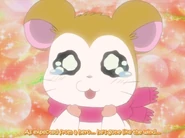 Appearance of the Muha-Muha Alien!/Gallery | The Hamtaro Wiki | Fandom