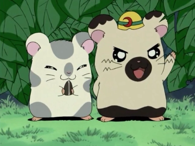 Much Ado About School!/Gallery | The Hamtaro Wiki | Fandom