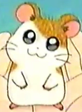 Hamtaro | The Hamtaro Wiki | Fandom