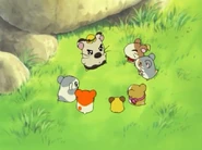 The Ham-Ham Clubhouse (episode)/Gallery | The Hamtaro Wiki | Fandom