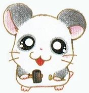 Panda/Gallery | The Hamtaro Wiki | Fandom