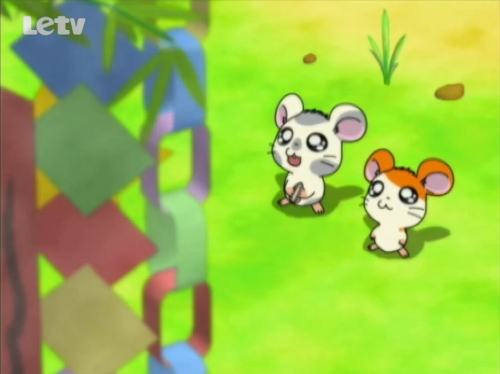 Asking Tanabata | The Hamtaro Wiki | Fandom