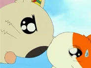The Ham-Ham Clubhouse (episode)/Gallery | The Hamtaro Wiki | Fandom