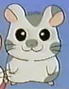 Oxnard | The Hamtaro Wiki | Fandom