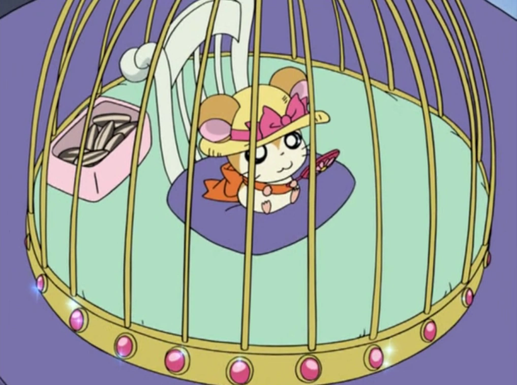 A Valentine Battle!/Gallery | The Hamtaro Wiki | Fandom