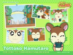 Maxwell Hamtaro
