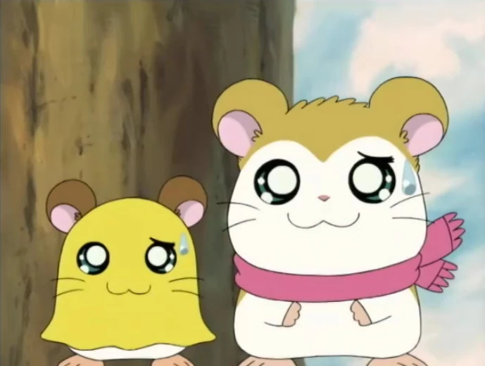 The Precious Letter!/Gallery | The Hamtaro Wiki | Fandom