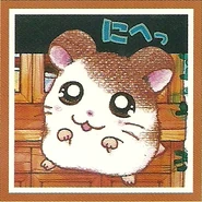 Tottoko Hamutaro: Hamuchanzu de Gozaimachu! Vol.1 | The Hamtaro Wiki ...