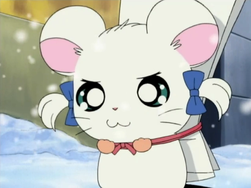 Maria's Memorable Book | The Hamtaro Wiki | Fandom