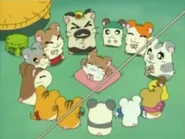 Pop Star/Gallery | The Hamtaro Wiki | Fandom
