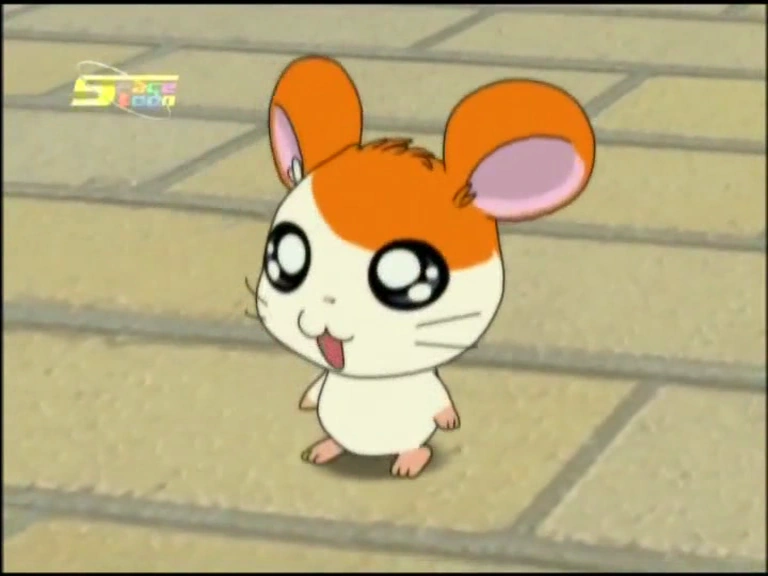 A Troublesome Big Brother/Gallery | The Hamtaro Wiki | Fandom