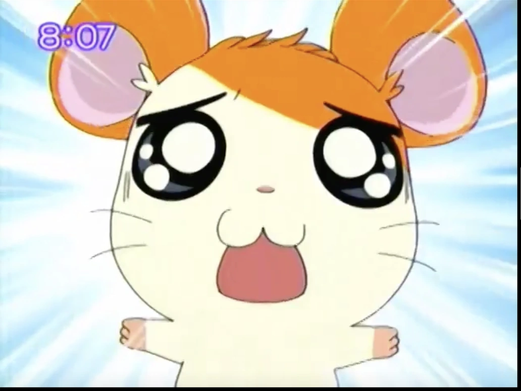 Snoozer's Trip/Gallery | The Hamtaro Wiki | Fandom
