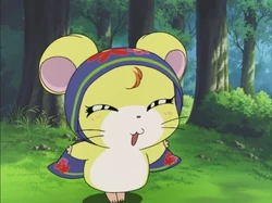 Hamtaro Okini Ham Ham Paradise