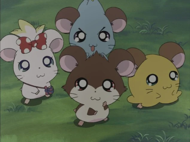 Let's Dance, Ham-Ham Ondo! | The Hamtaro Wiki | Fandom