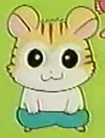 Hamtaro Sandy Et Stan