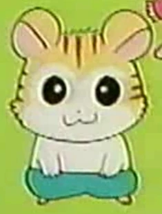 Sandy | The Hamtaro Wiki | Fandom