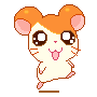 Cyworld | The Hamtaro Wiki | Fandom